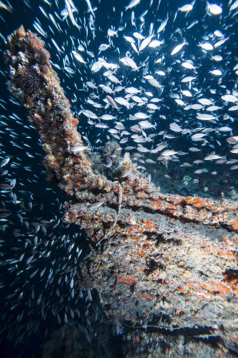 Bow of LV-71 Diamond Shoals Light Ship, Courtesy of Tane Casserly, NOAA ...